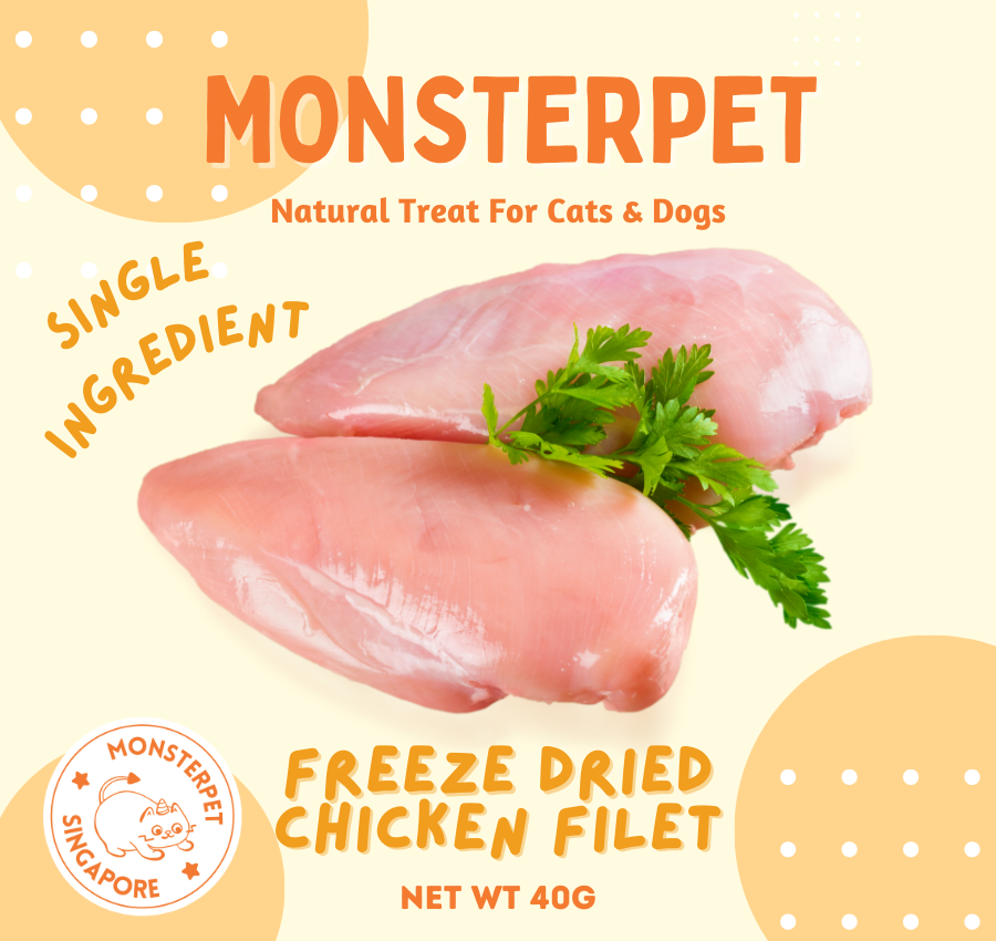 Freeze Dried Chicken Filet – Monsterpet