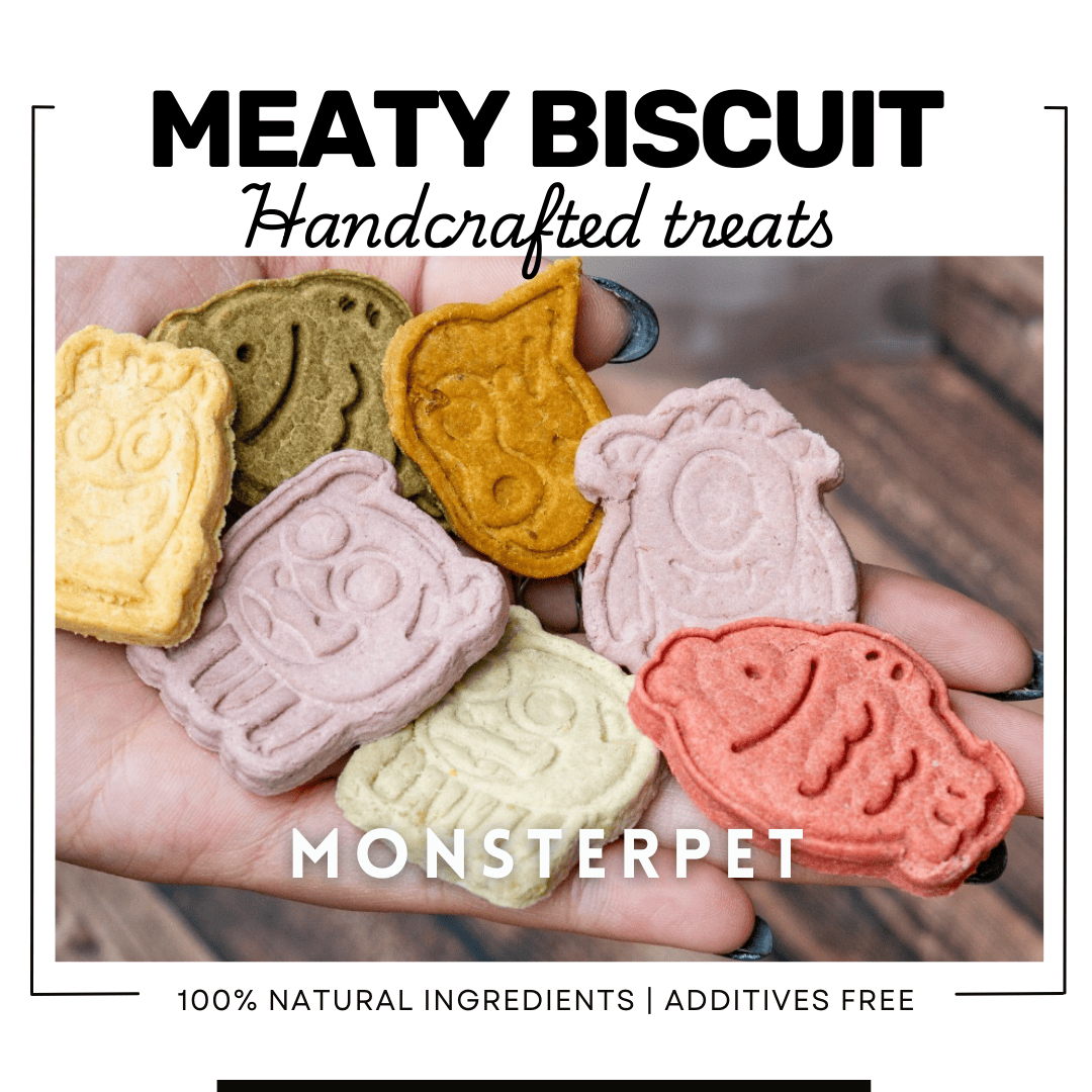 Dehydrated Signature Meaty Monster Pet Biscuit – Monsterpet